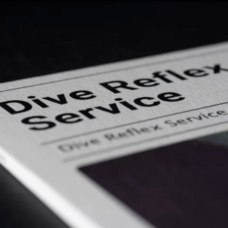 12 inch vinyl - Dive Reflex Service - Dive Reflex Service 01 – Cut & Paste Records